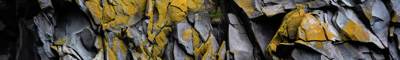 Mind Beyond Matter | Dr. Gavin Rowland