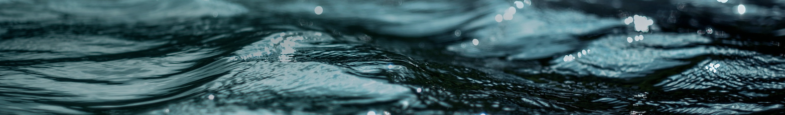 Mind Beyond Matter | Dr. Gavin Rowland