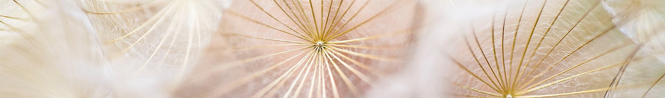 Mind Beyond Matter | Dr. Gavin Rowland