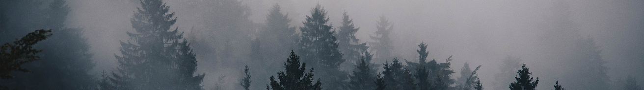 Mind Beyond Matter | Dr. Gavin Rowland