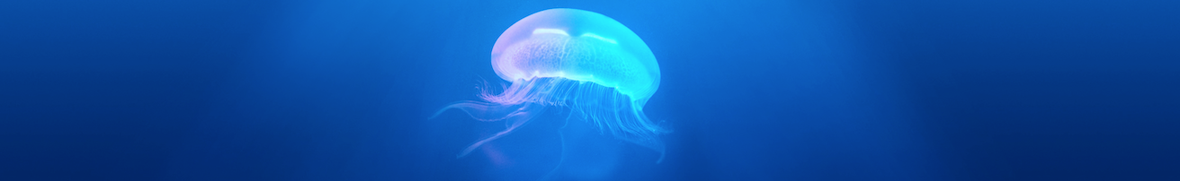 Mind Beyond Matter | Dr. Gavin Rowland